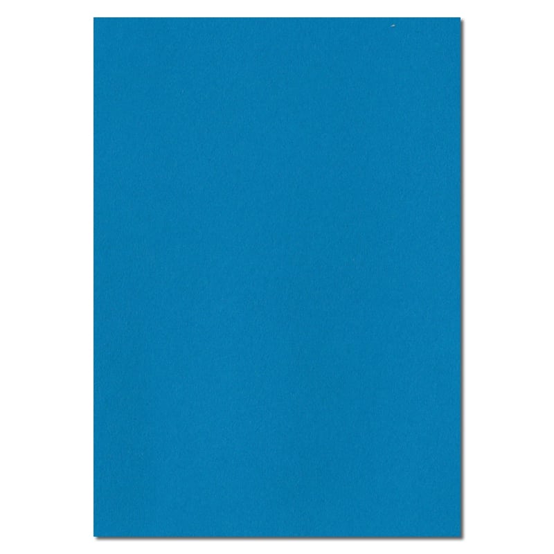 A4 Blue Paper Ubicaciondepersonas cdmx gob mx
